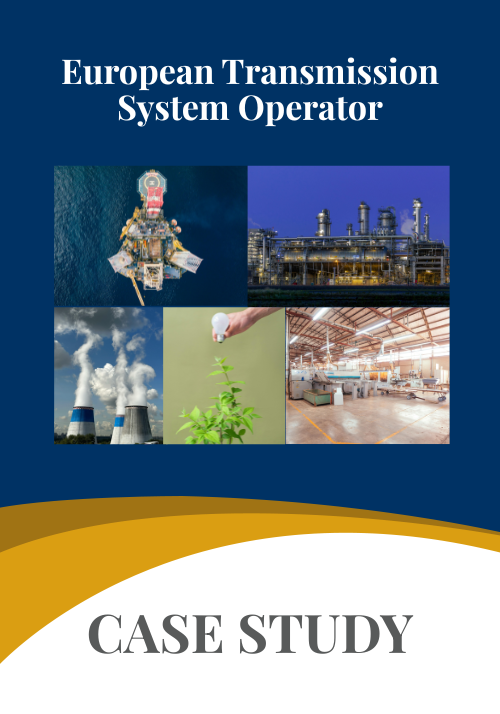 Energy Case Studies | EnergyStrat Consulting